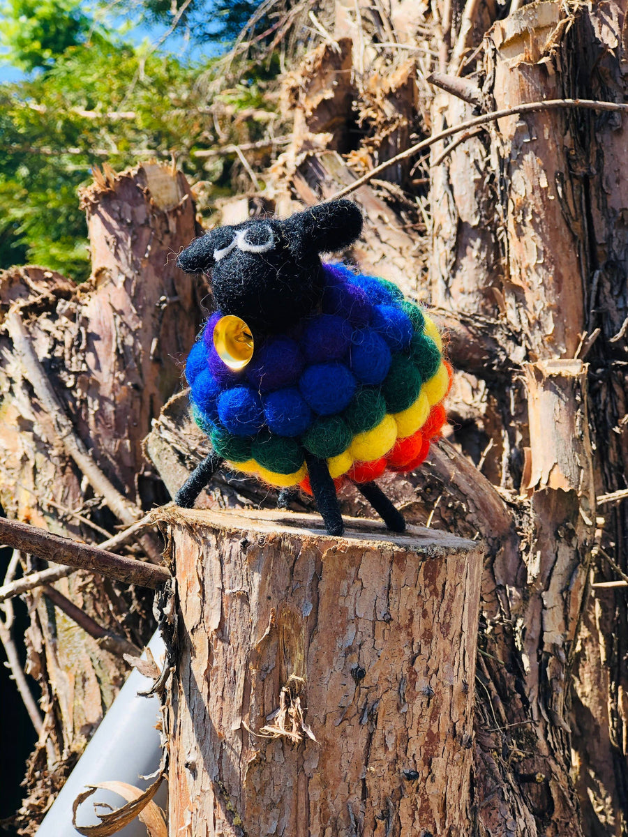 Baaarbara rainbow pride sheep – Masato Jones